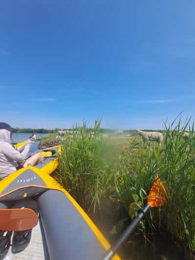 Amsterdam Countryside bike and kayak tour | GetYourGuide