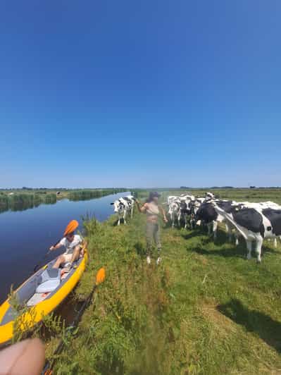 Amsterdam Countryside bike and kayak tour | GetYourGuide