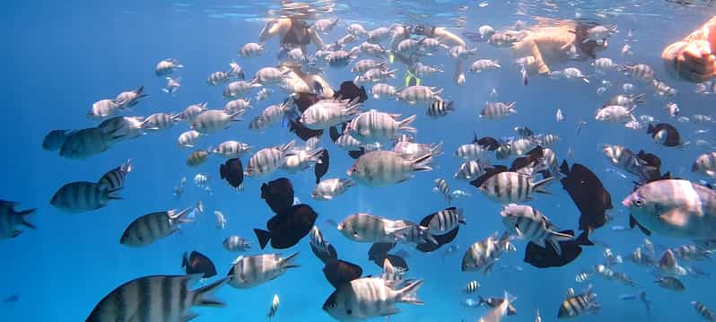Hurghada: Discover Nemo Beach At Giftun island W Speedboat | GetYourGuide