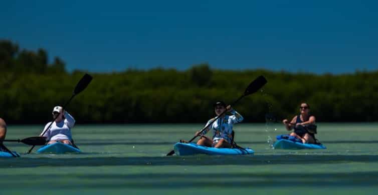 Shell Key Preserve, Tierra Verde, Florida - Reserva de entradas y tours ...