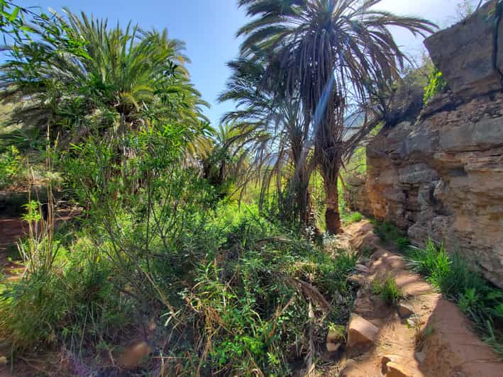 Półdniowa wycieczka z przewodnikiem po dolinie Tizgui, w tym odbiór z ...