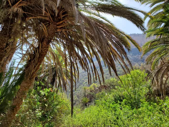 Tizgui Valley Half Day Guided Tour Including Hotel Pickup | GetYourGuide