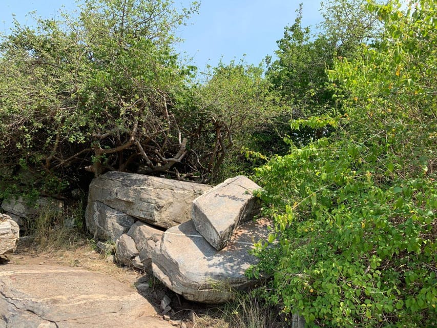 Discover Nature at Shai Hills - Adventure Full Day Trip | GetYourGuide