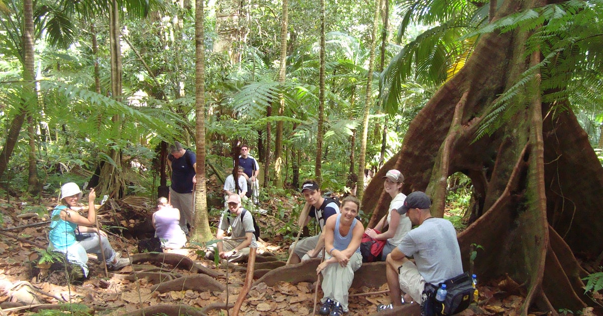 Excursión panorámica por la selva tropical | GetYourGuide