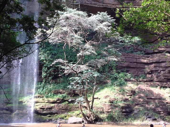 From Accra: Boti Falls Guided Day Trip with Entry and Snacks | GetYourGuide