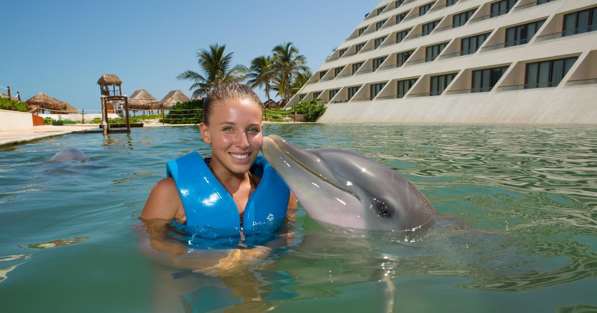 Punta Cancún: Nada con delfines Interax | GetYourGuide