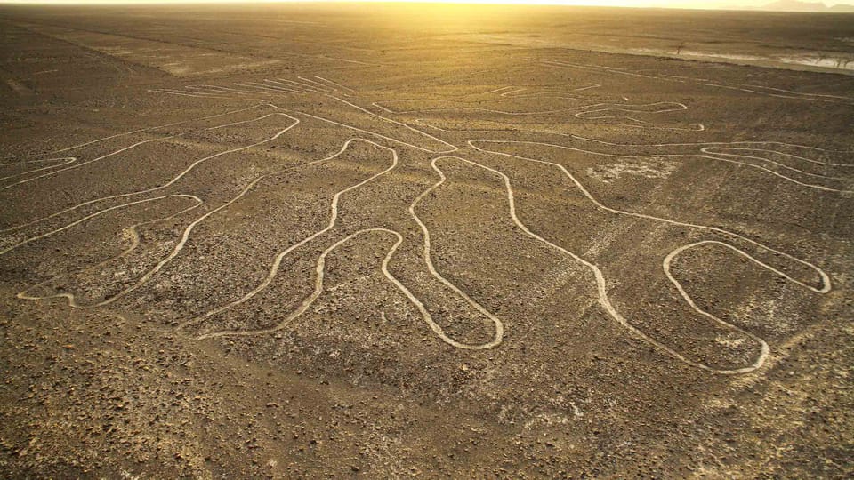 Nazca: Rundflug über die Nazca-Linien | GetYourGuide