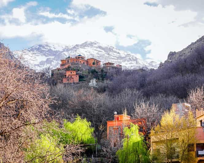 Excursión de un día al Atlas y pueblos bereberes con cascadas ...