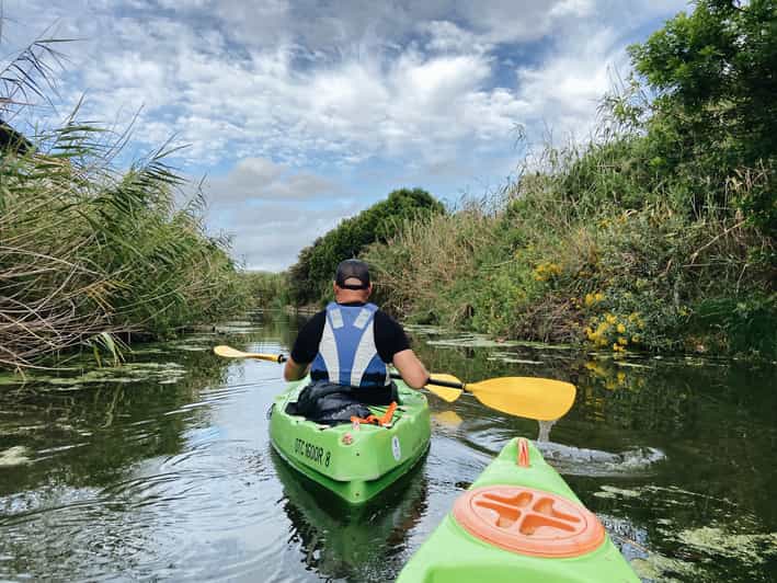 Intaka Island Kayak Tour | GetYourGuide