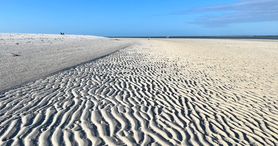 Sand Bar Shelling Tour | GetYourGuide