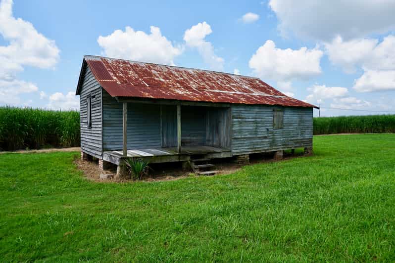 New Orleans: Felicity Plantation Guided Tour | GetYourGuide