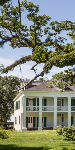 New Orleans: Felicity Plantation Guided Tour | GetYourGuide