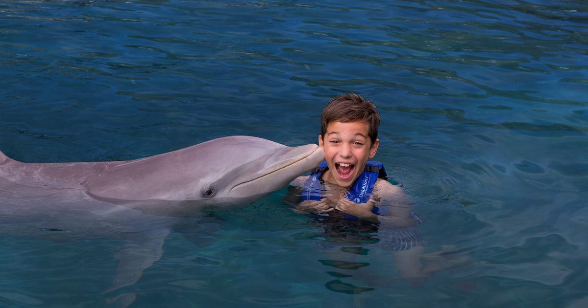 Riviera Maya: Swim with dolphins Interax | GetYourGuide