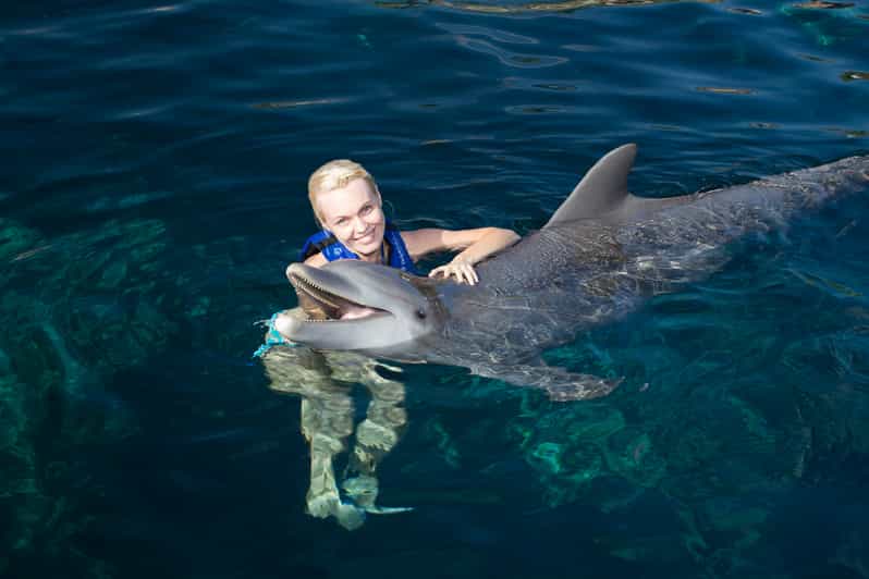 Swim with dolphins Ride - Riviera Maya | GetYourGuide