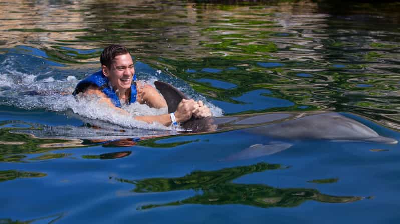 Swim with dolphins Ride - Riviera Maya | GetYourGuide