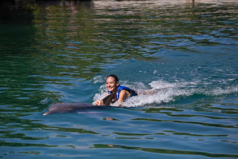 Swim with dolphins Ride - Riviera Maya | GetYourGuide