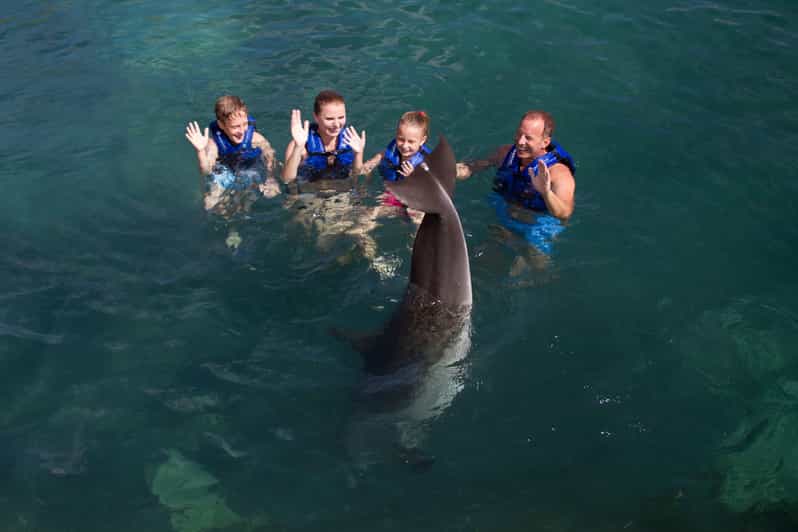 Swim with dolphins Supreme - Riviera Maya | GetYourGuide