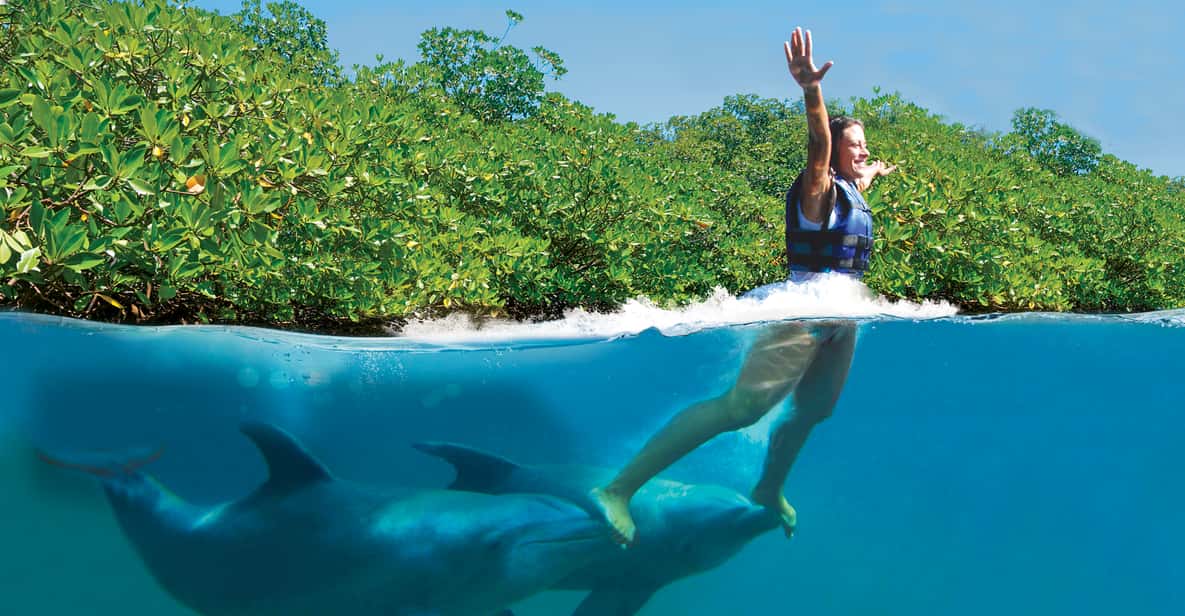 Riviera Maya: Swim with dolphins Supreme | GetYourGuide