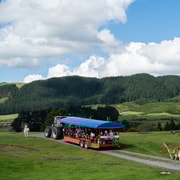 Rotorua: Agrodome Farm Tour with Show and Produce Tasting | GetYourGuide