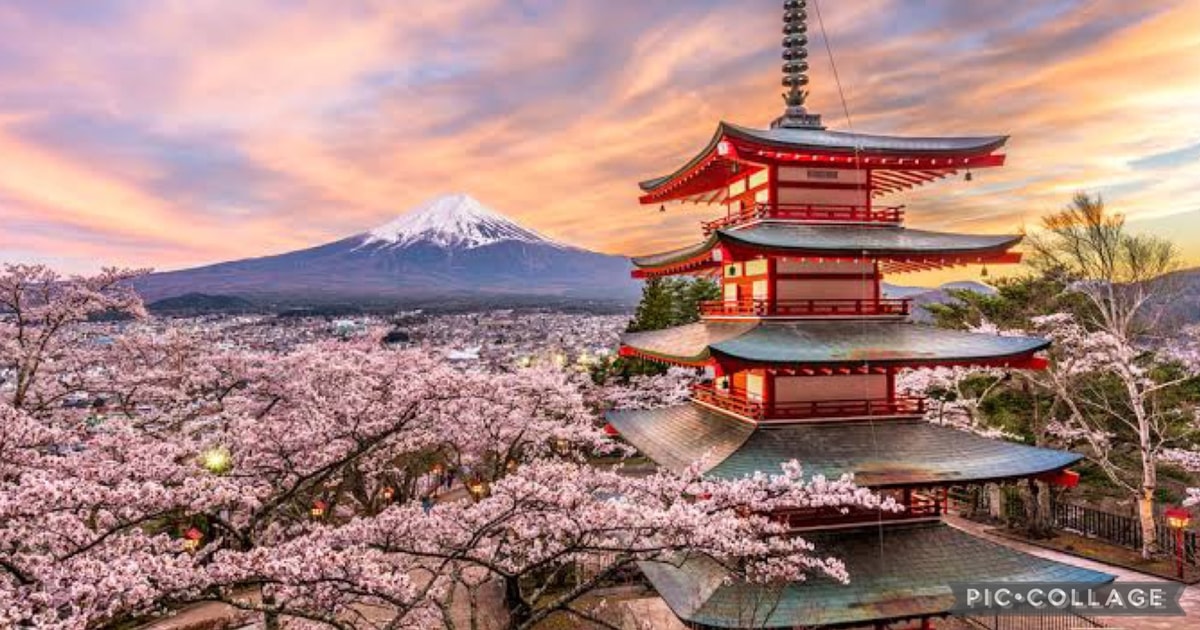 Desde Tokio/Hakone/Fuji: Excursión de un día a Hakone y el Monte Fuji con servicio de recogida ...