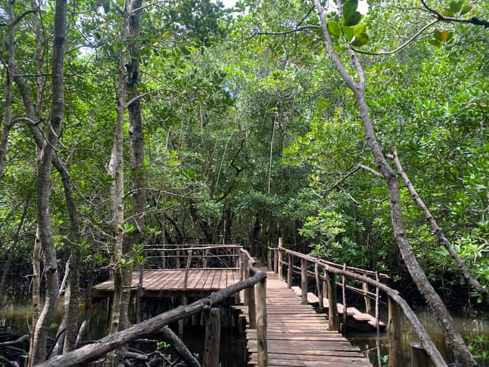 Exploring The Zanzibar Nature Full Day Trip | GetYourGuide