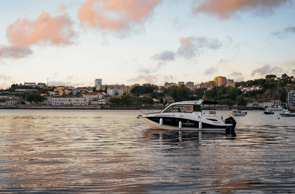 Porto: Private Boat Tour in Douro River | GetYourGuide