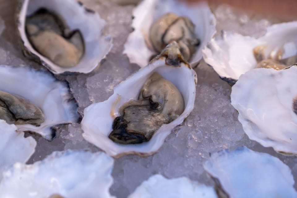 From Vilamoura: Oysters and Bubbles Sailing Experience | GetYourGuide