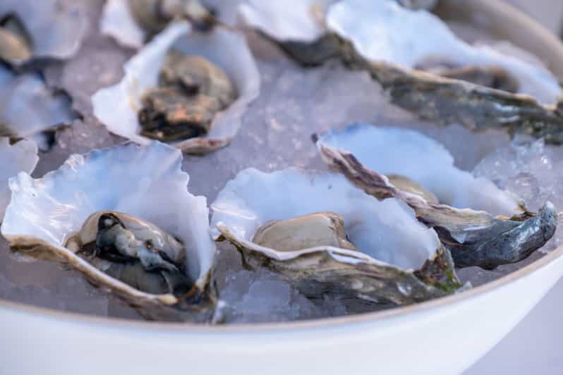 Oysters & Bubbles Sailing Experience from Vilamoura | GetYourGuide