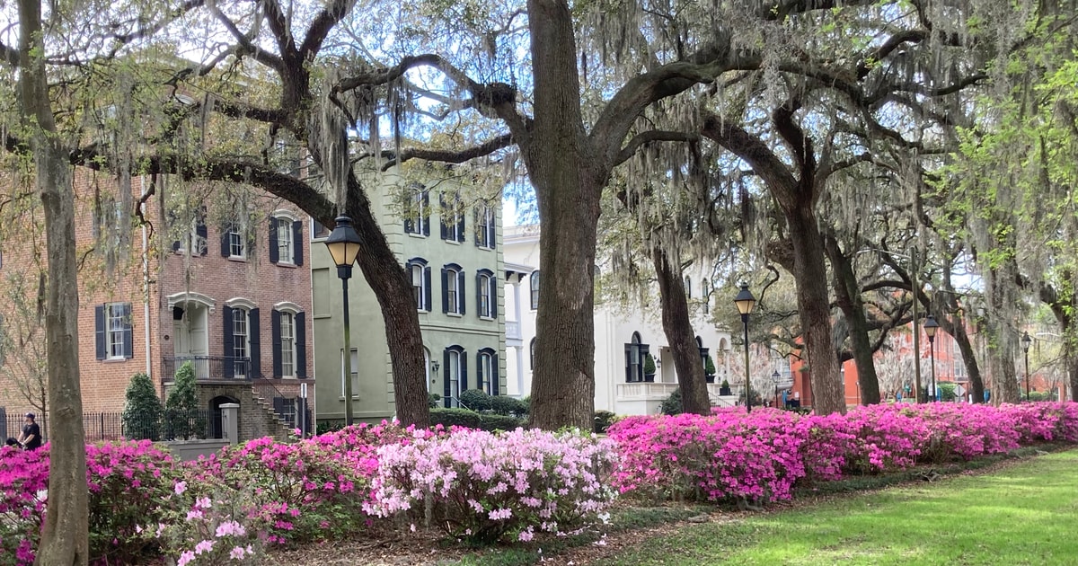 Savannah: Highlights & Hidden Gems Guided Walking Tour | GetYourGuide