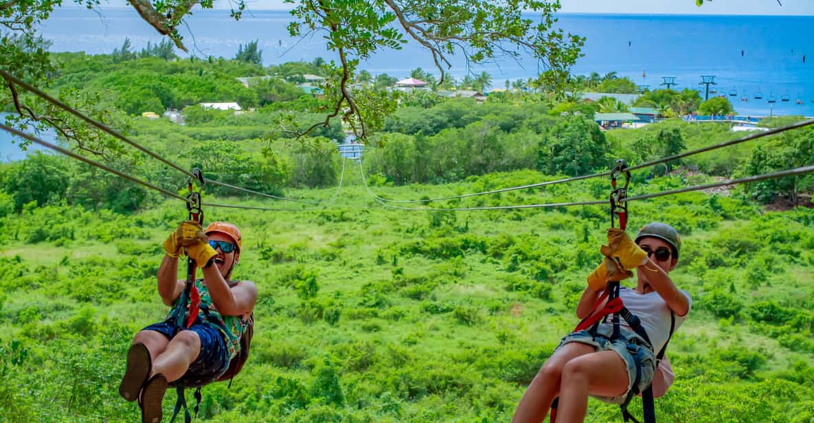Extreme Zip Line Adventure at Mahogany bay | GetYourGuide