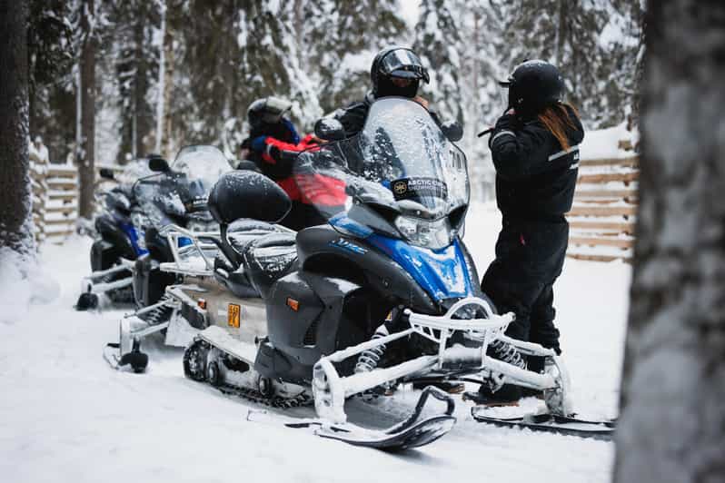 Rovaniemi: Family-friendly Snowmobile & Arctic Animals Tour | GetYourGuide