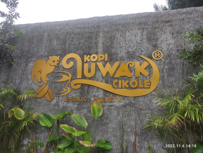 Jakarta: Volcano, Hot Spring, Tea Factory& Coffee Luwak Tour | GetYourGuide