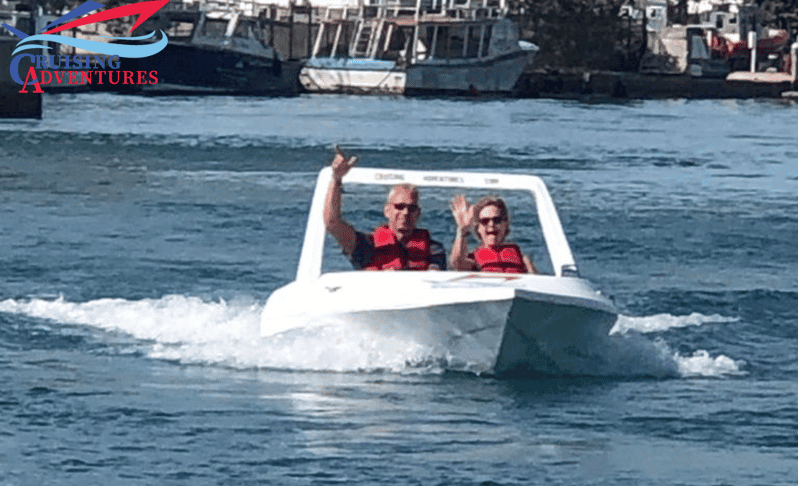Nassau: Self-Drive Speedboat Ride and Pig Swimming Encounter | GetYourGuide