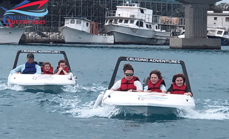 Nassau: Self-Drive Speedboat Ride and Pig Swimming Encounter | GetYourGuide