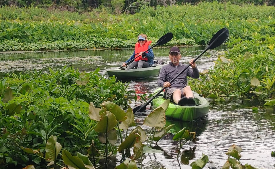 Wekiva Wildlife kayaking Adventure Tour | GetYourGuide