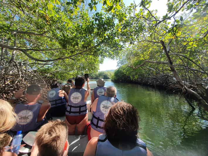 Paradise Island Private Tour +Snorkeling +Manatee Sanctuary | GetYourGuide