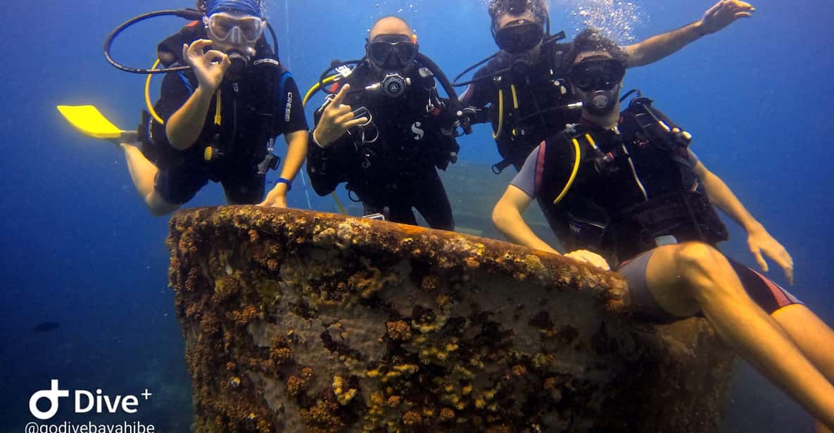 Bayahibe - PADI Open Water Course - Go Dive | GetYourGuide