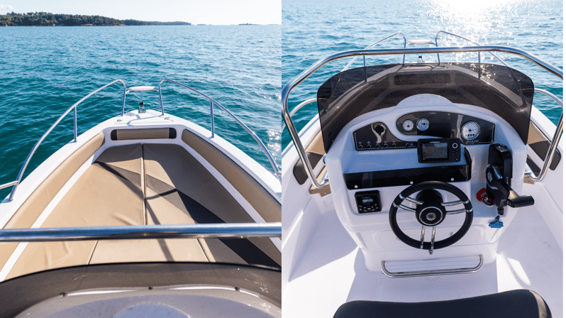 Private Family Dolphin Tour in Poreč | GetYourGuide
