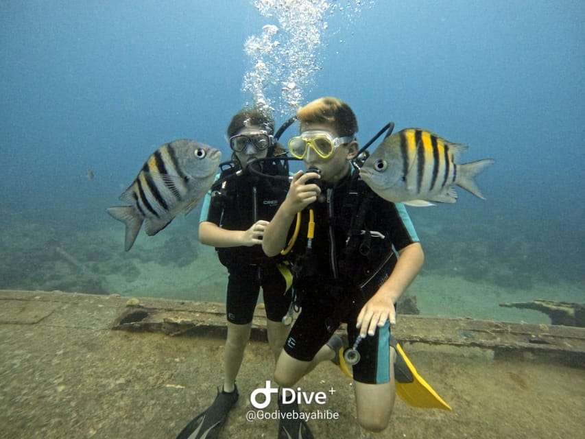 Bayahibe - PADI Advanced Course Diving - Go Dive | GetYourGuide