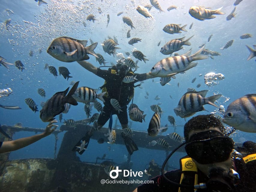 Bayahibe - PADI Advanced Course Diving - Go Dive | GetYourGuide