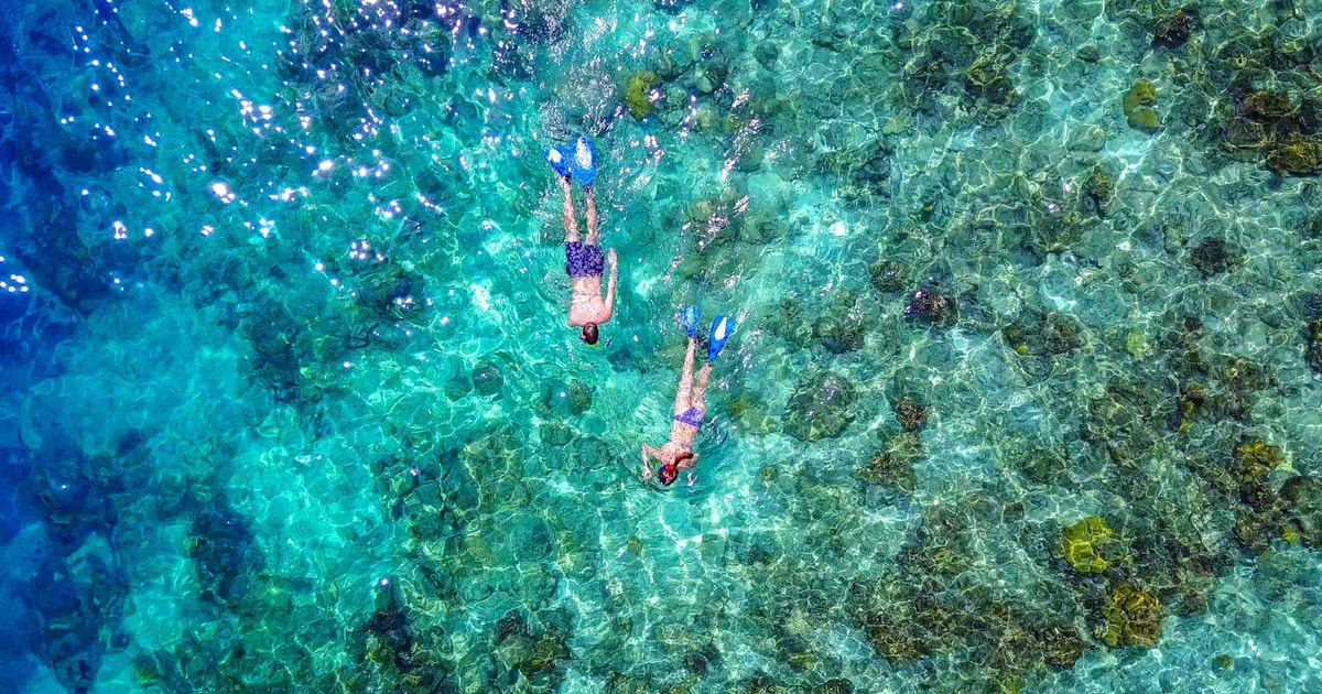Bayahibe: Snorkeling Tour - Sea, Cotubanama park & Cenotes | GetYourGuide