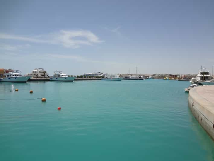 Marsa Alam: Marsa mubarak Snorkeling With Dugong and turtles | GetYourGuide