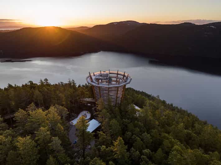 Malahat SkyWalk Ticket | GetYourGuide