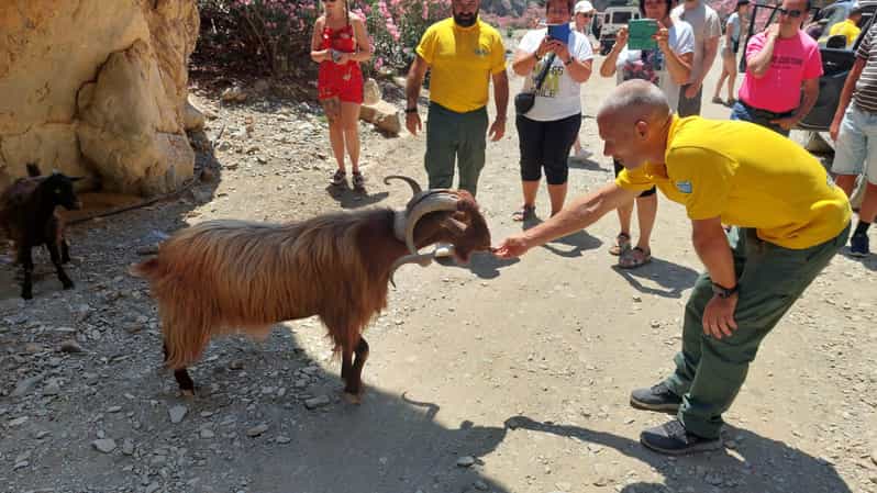 Crete: Trypiti Beach Off-Road South Tour w/ Lunch & Wine | GetYourGuide