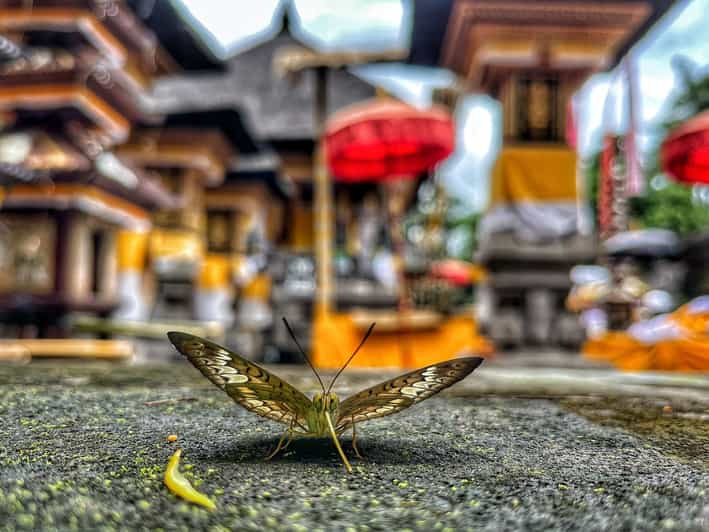 Bali Bathing Holy Spring Water or Purification | GetYourGuide