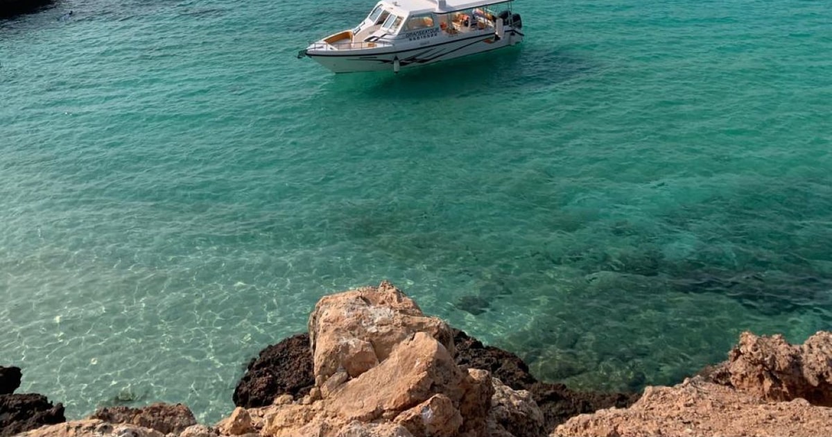 Oman: snorkeling alle isole Daymaniyat | GetYourGuide