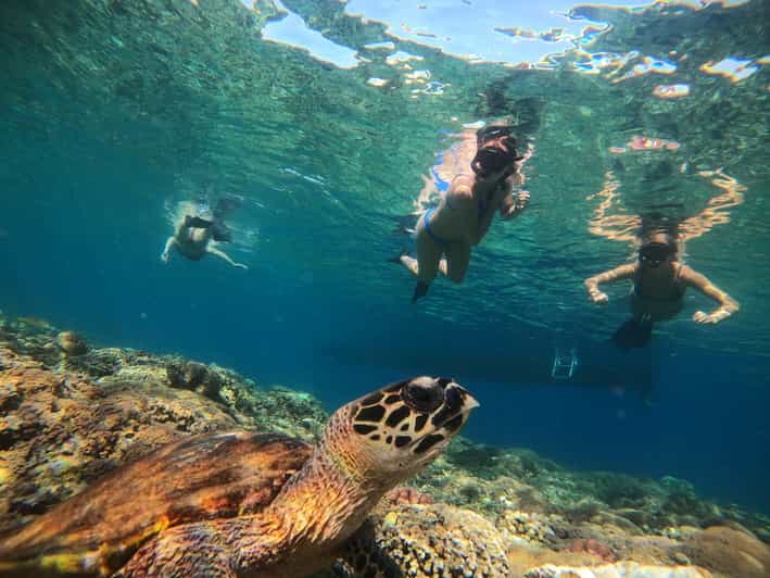 Ozzy Snorkeling 3 Islands | GetYourGuide