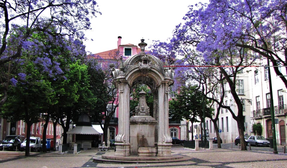 Giro dei 7 colli | GetYourGuide