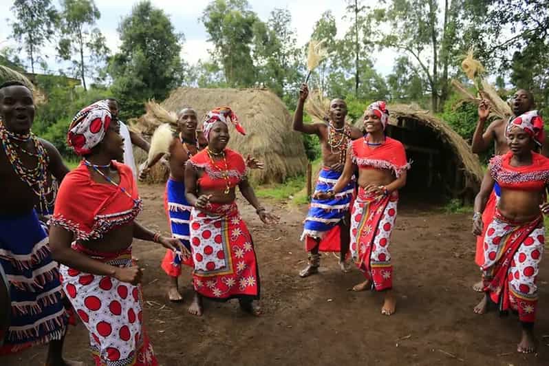 Nairobi: Bomas of Kenya Cultural performances Tour. | GetYourGuide