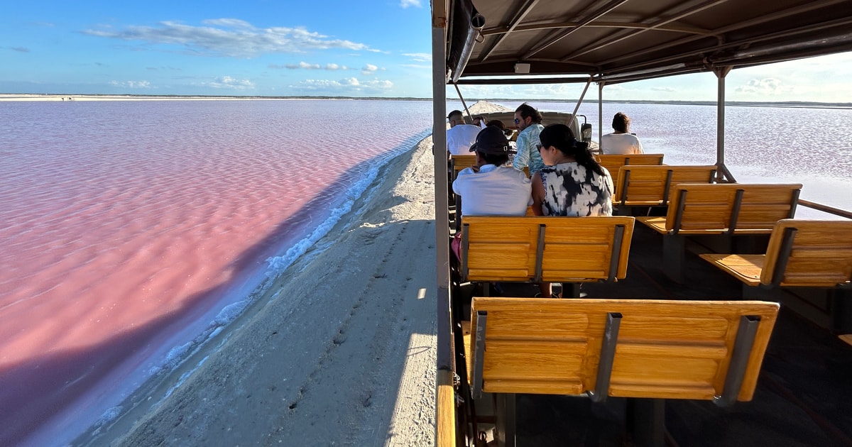 Safari tour around the pink lakes of Las Coloradas | GetYourGuide